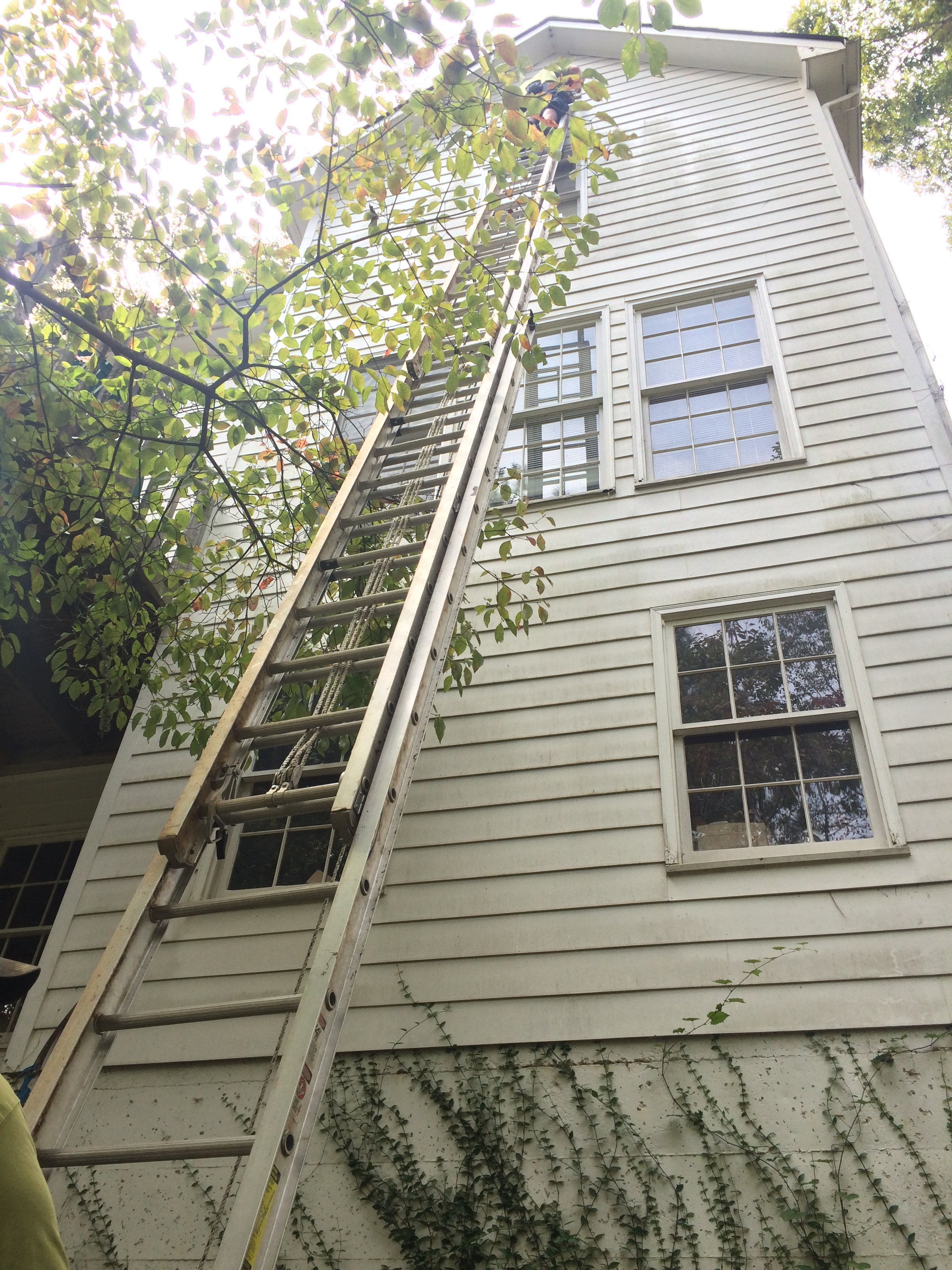 Alpharetta Pest Control Services